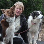 Rosie Sutherland, Agility Training Director | Y2K9s Dog Sports ...